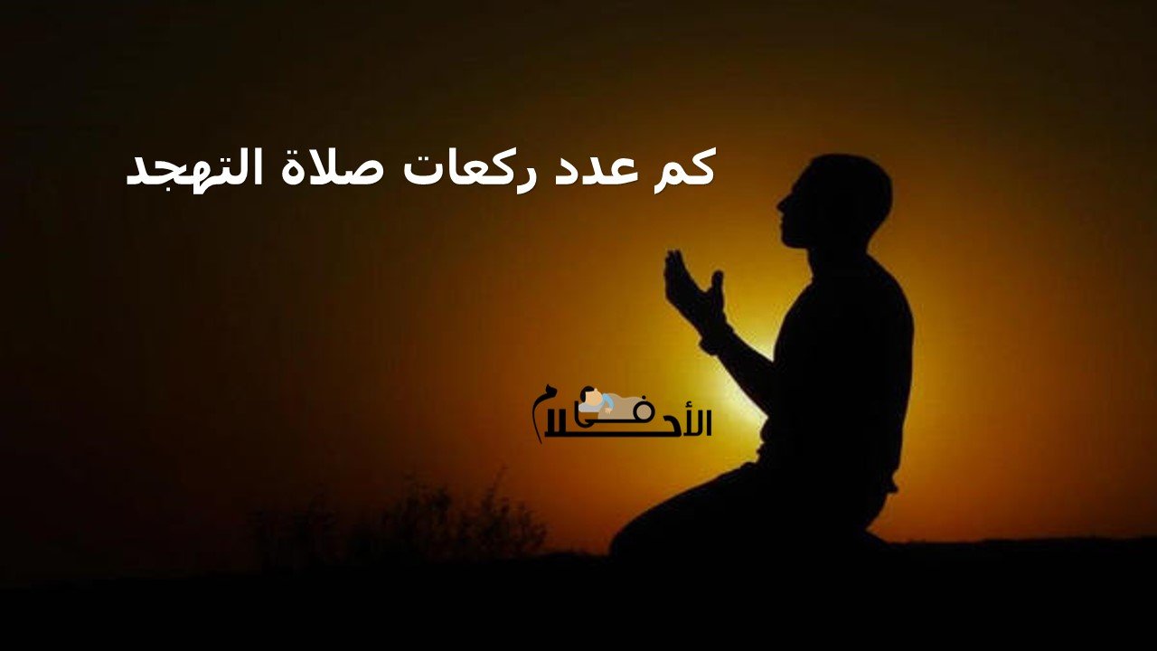 كم عدد ركعات صلاة التهجد وكيفية أدائها ؟ في الاحلام